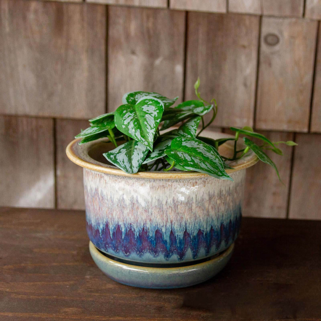 Handmade Pottery from Maine and Home of the Ikebana Vase – Georgetown ...